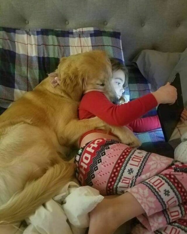 40 Funny Pics That Showcase The Joys Of Pet Ownership | DeMilked