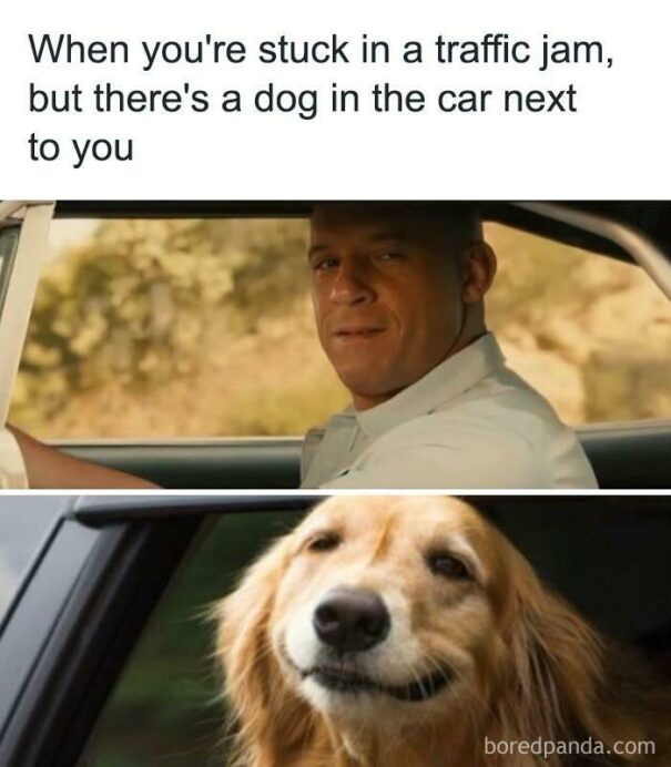 35 Hilarious Memes That Got Featured On “Free To Meme” Instagram Page ...