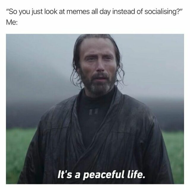 35 Hilarious Memes That Got Featured On “Free To Meme” Instagram Page ...