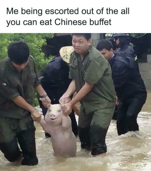 35 Hilarious Memes That Got Featured On “Free To Meme” Instagram Page ...