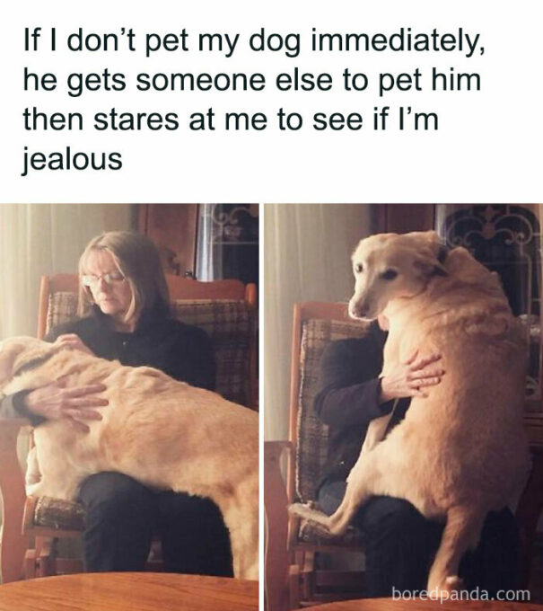 35 Hilarious Memes That Got Featured On “Free To Meme” Instagram Page ...