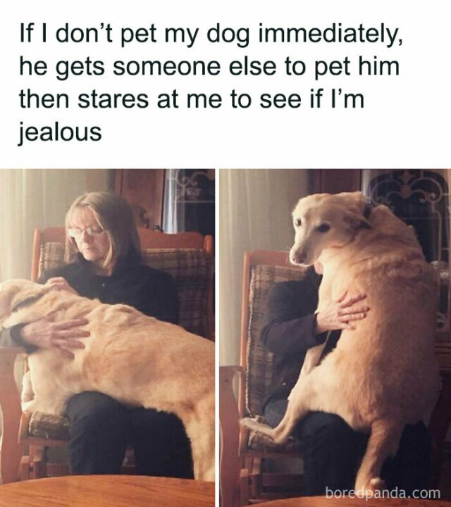 35 Hilarious Memes That Got Featured On “Free To Meme” Instagram Page ...