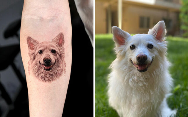 25 Creative And Stunning Pet Tattoos Created By This Artist That Look ...