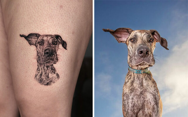 25 Creative And Stunning Pet Tattoos Created By This Artist That Look ...