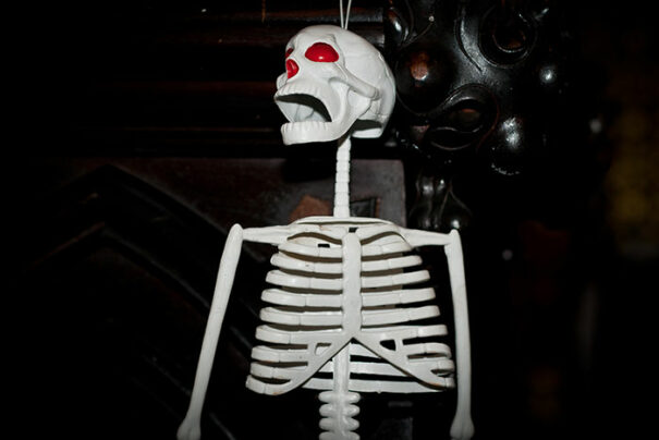 25 Random Yet Simple Facts About The World You And Your Kids May Love ...