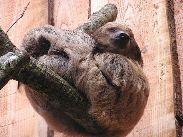 25 Random Yet Simple Facts About The World You And Your Kids May Love ...