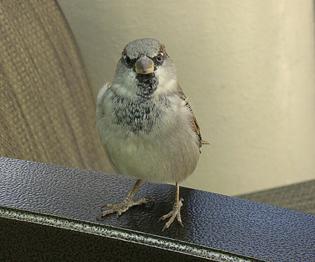 25 Random Yet Simple Facts About The World You And Your Kids May Love ...