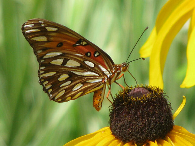 25 Random Yet Simple Facts About The World You And Your Kids May Love ...