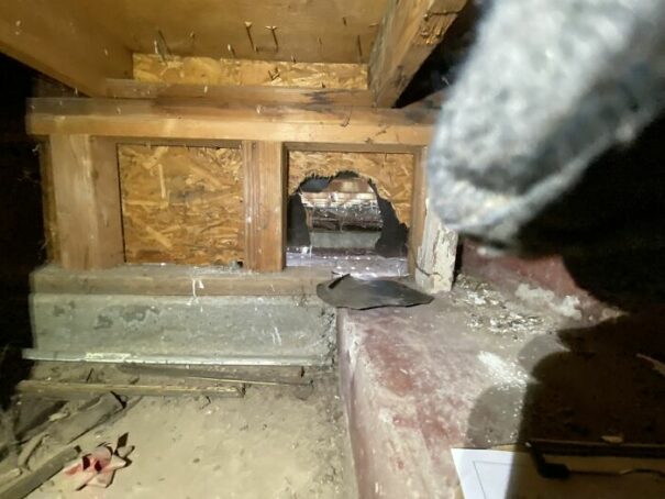 25 Chaotic Disasters Spotted During Structural Inspections | DeMilked