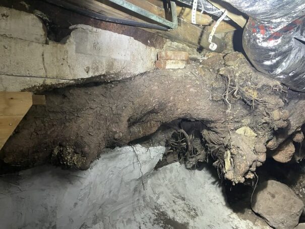 25 Chaotic Disasters Spotted During Structural Inspections | DeMilked