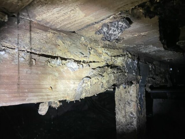 25 Chaotic Disasters Spotted During Structural Inspections | DeMilked