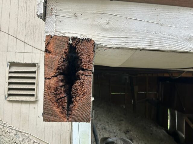 25 Chaotic Disasters Spotted During Structural Inspections | DeMilked
