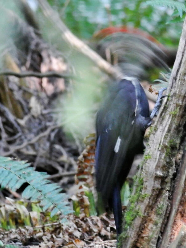 40 Funny Wildlife Photos That Would Technically Be Called A Fail | DeMilked