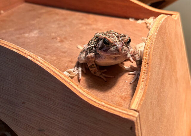 25 Common Rules People Continuously Break Because They Make No Sense ...