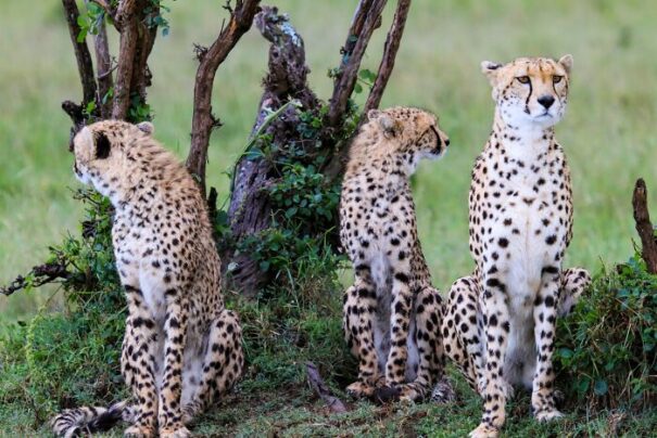 25 Relatively Unknown Facts That Could Change Your Worldview | DeMilked