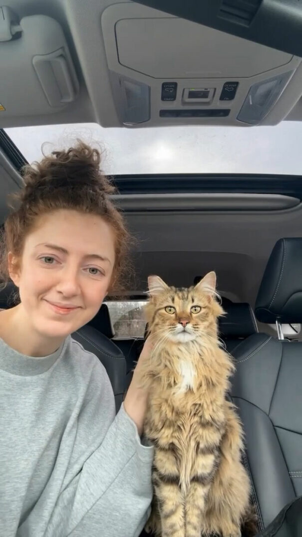 40 Photos Of Happy Pets Adopted This February | DeMilked