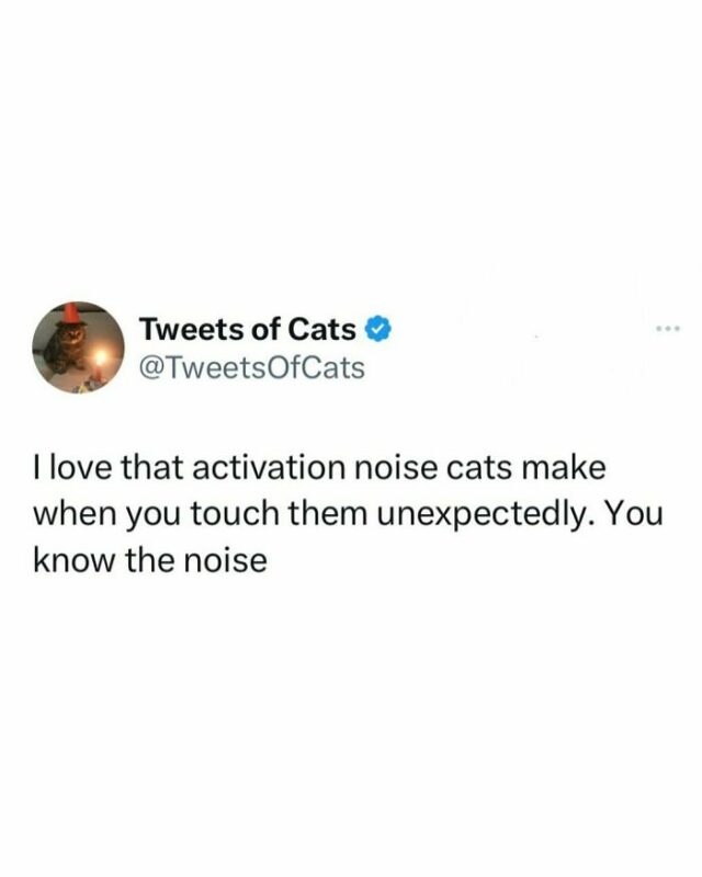 35 Adorable And Funny Posts From This Instagram Account "CatCon" | DeMilked