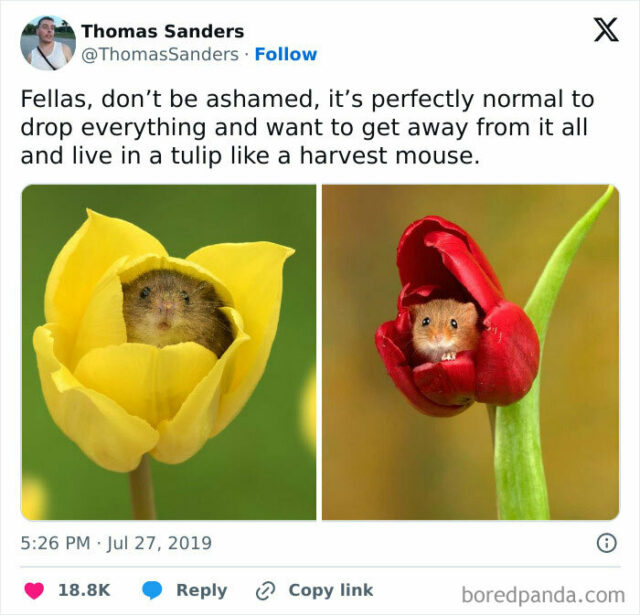 25 Relatable Mental Health Memes From The 'I am Okay AF’ Page | DeMilked