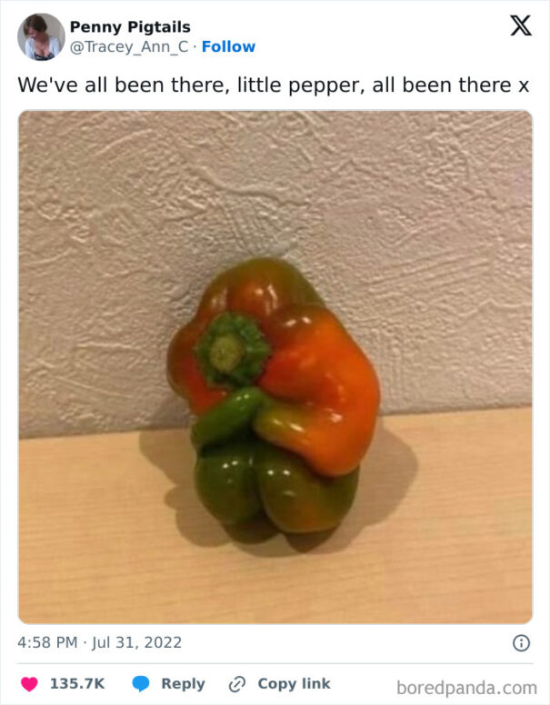 25 Relatable Mental Health Memes From The 'I am Okay AF’ Page | DeMilked