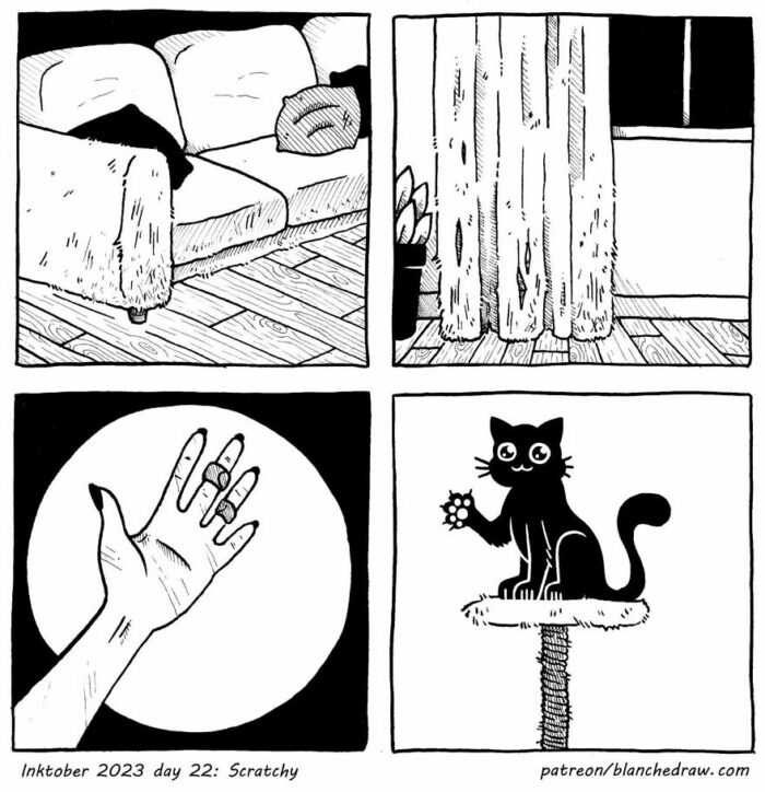 25 Unexpectedly Funny Comics Depicting The Quirks Of Womanhood, By ...