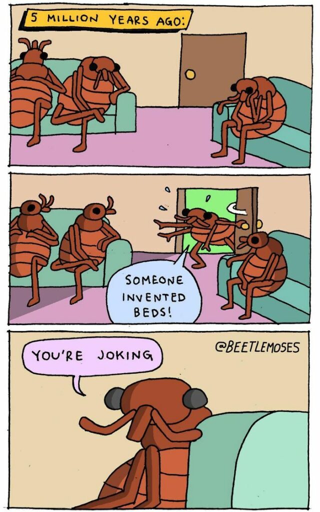 25 Witty Comics With Surprising Twists By Harris Fishman | DeMilked