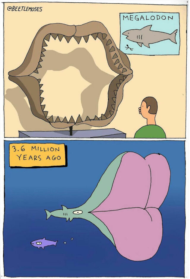 25 Witty Comics With Surprising Twists By Harris Fishman | DeMilked