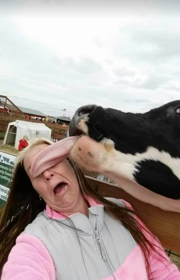 30 Examples Of People Being Ridiculous And Funny, As Shared On The ...