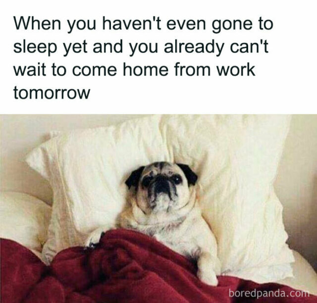 35 Funny Office Jokes And Work Memes That Might Make You Laugh | DeMilked