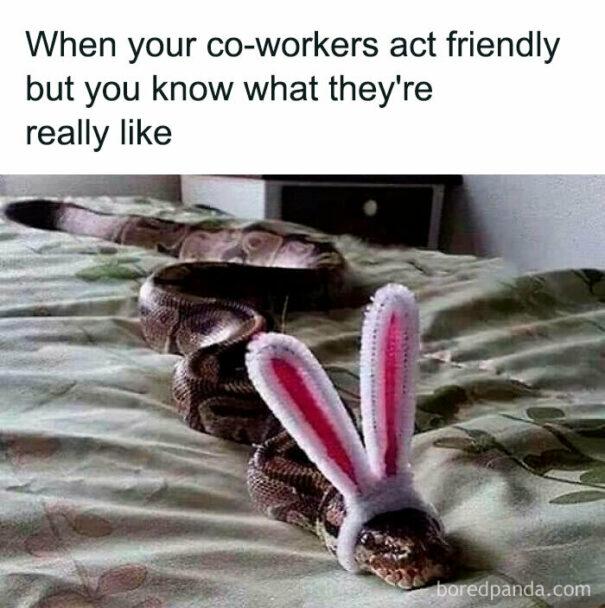35 Funny Office Jokes And Work Memes That Might Make You Laugh | DeMilked