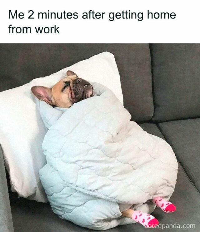 35 Funny Office Jokes And Work Memes That Might Make You Laugh | DeMilked