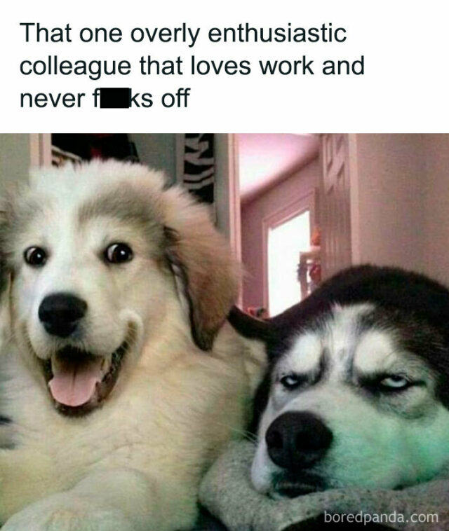 35 Funny Office Jokes And Work Memes That Might Make You Laugh | DeMilked