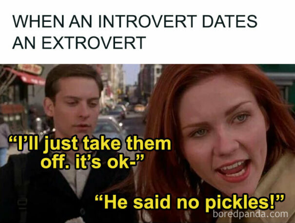 35 Funny Memes That Might Be Therapy For Introverts | DeMilked