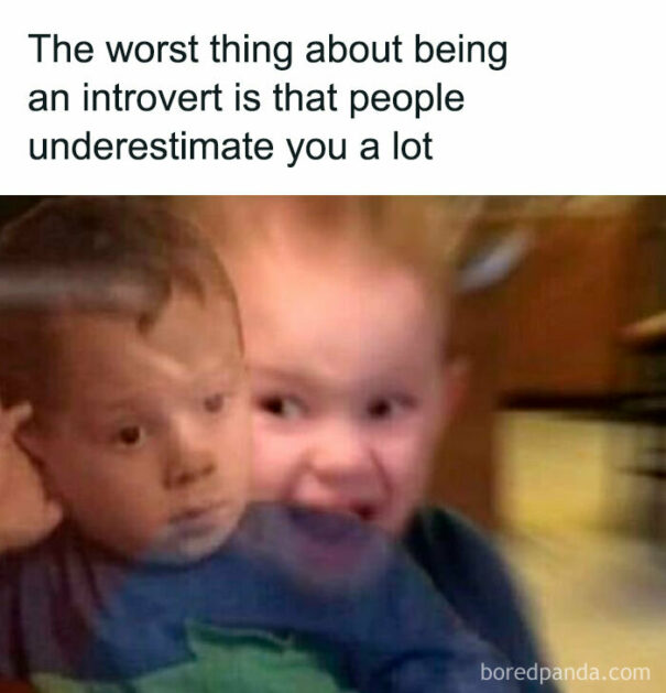 35 Funny Memes That Might Be Therapy For Introverts | DeMilked