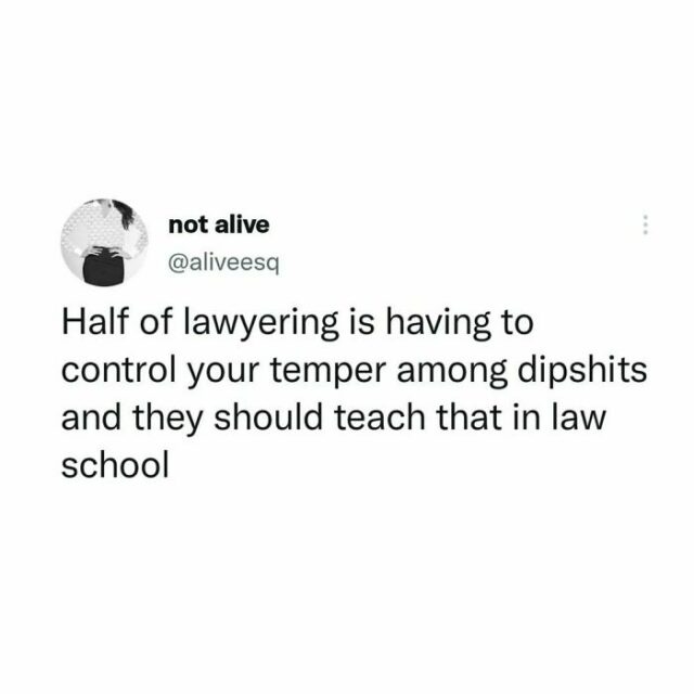 25 Unfiltered Memes About Being A Lawyer | DeMilked