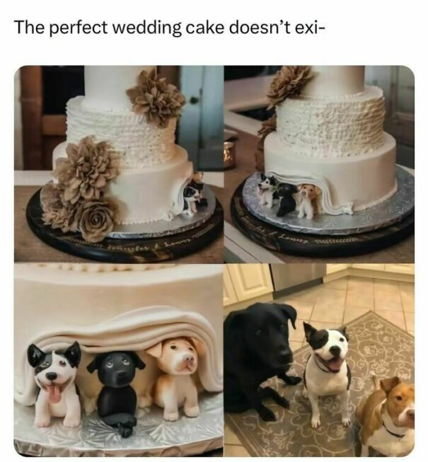 40 Of The Best Memes Found On The Meme.IG Page | DeMilked