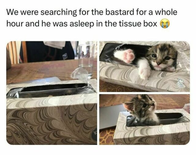 40 Of The Best Memes Found On The Meme.IG Page | DeMilked