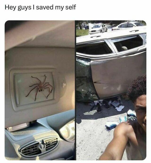 40 Of The Best Memes Found On The Meme.IG Page | DeMilked