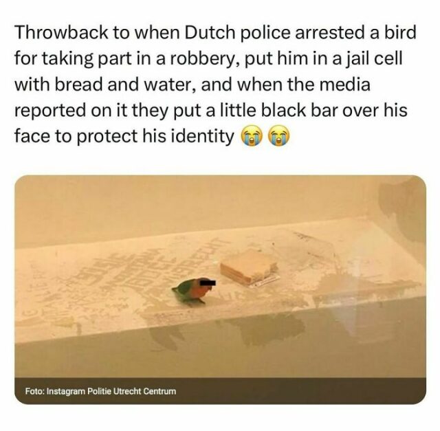 40 Of The Best Memes Found On The Meme.IG Page | DeMilked