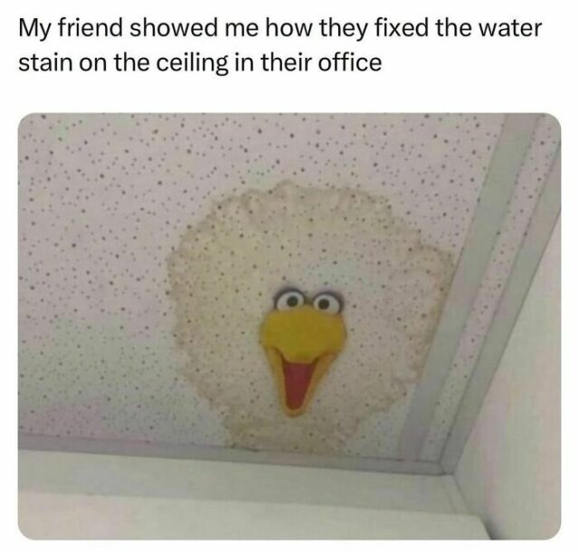 40 Of The Best Memes Found On The Meme.IG Page | DeMilked