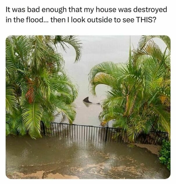 40 Of The Best Memes Found On The Meme.IG Page | DeMilked