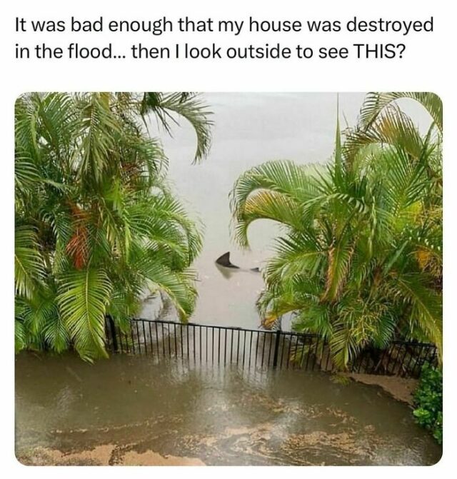 40 Of The Best Memes Found On The Meme.IG Page | DeMilked