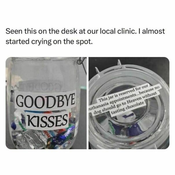 40 Of The Best Memes Found On The Meme.IG Page | DeMilked