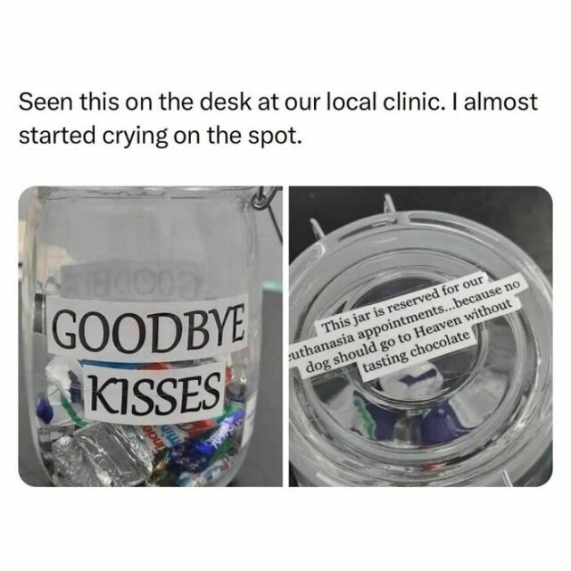 40 Of The Best Memes Found On The Meme.IG Page | DeMilked