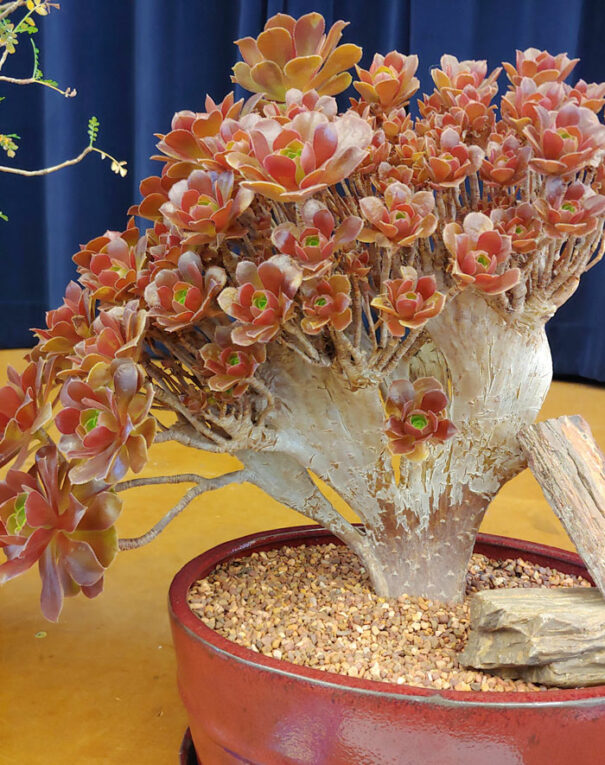 40 ‘Mutant’ Plants That Could Feature In A Nightmare Or Monster Movie ...