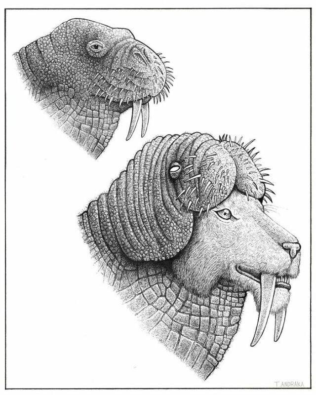 25 Odd And Wonderful Scientific Wildlife Illustrations By Tim Andraka | DeMilked