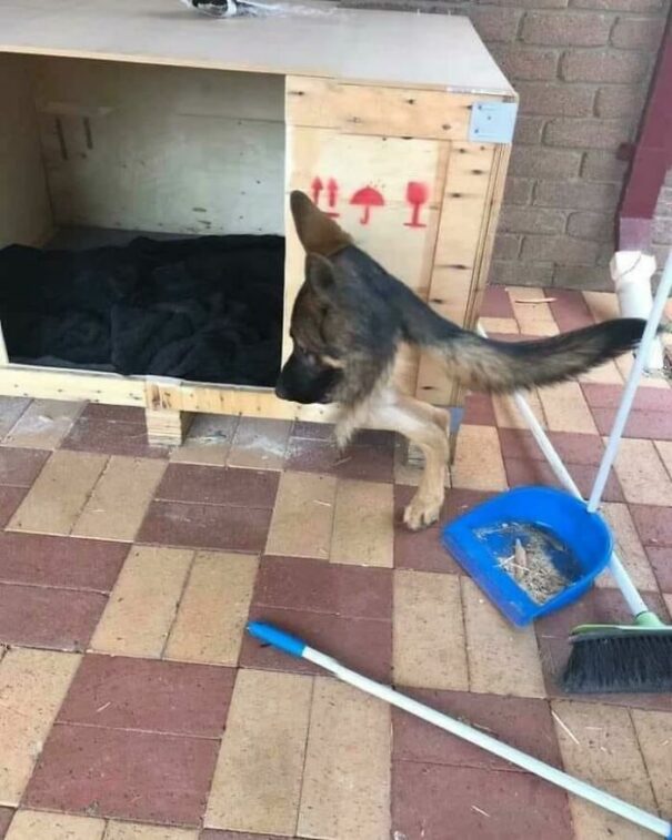 25 Panoramic Photos That Turned Into Hilarious Glitches In The Matrix ...