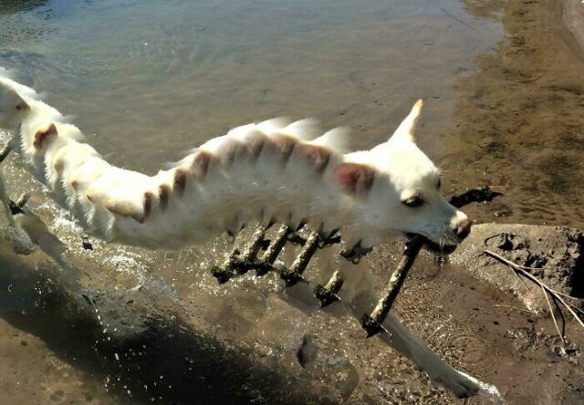 25 Panoramic Photos That Turned Into Hilarious Glitches In The Matrix ...