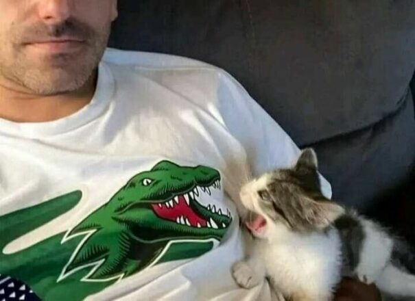 25 “Weird Pics Without Context” That Are Funny And Confusing | DeMilked