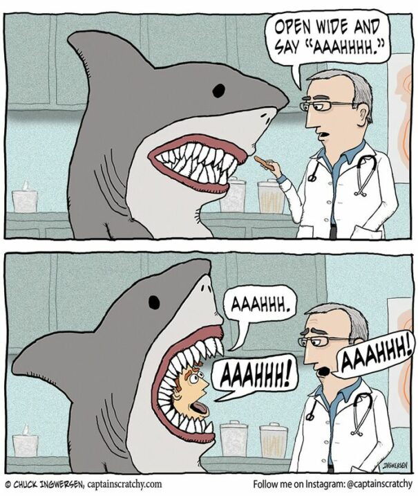 20 Funny Animal Comics That Might Brighten Your Day | DeMilked