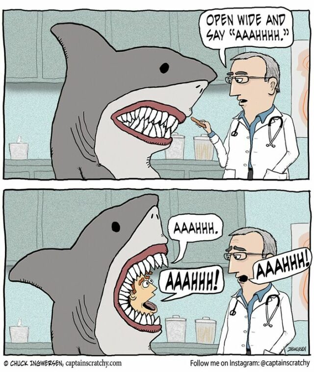 20 Funny Animal Comics That Might Brighten Your Day | DeMilked